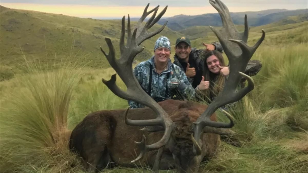 Red Stag Hunting: Tips for a Successful Expedition
